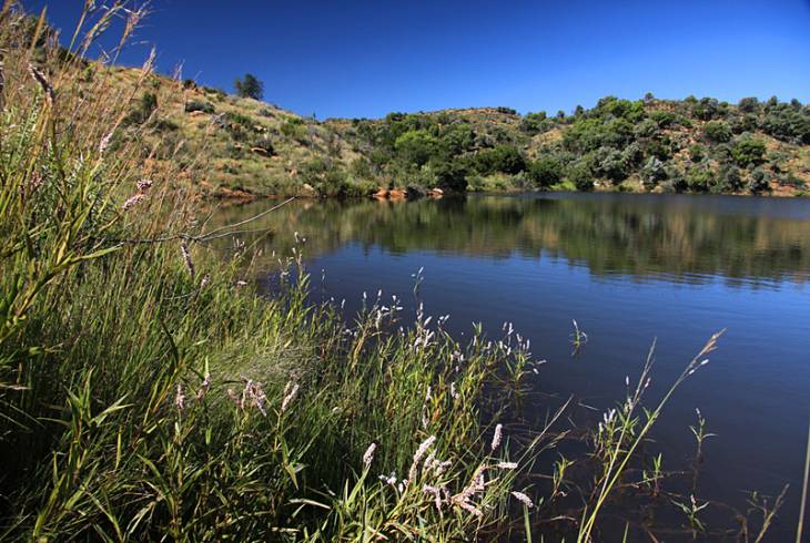 Suikerbosrand Provincial Nature Reserve Inligting | BlyPlekke.co.za