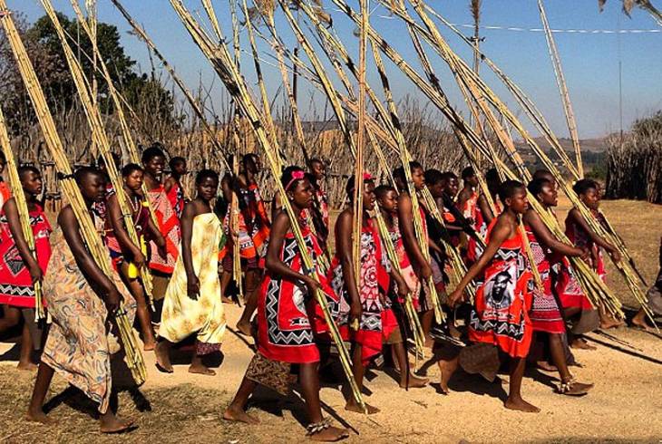 Swazi Reed Dance Information | WhereToStay.co.za