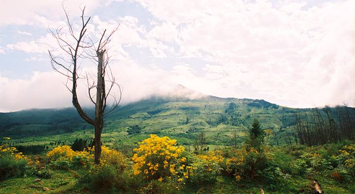 Amatola & Stormberg Accommodation | Information