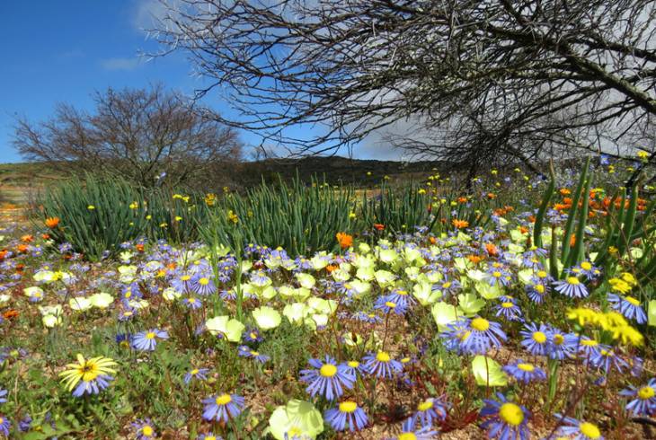 Namaqualand, Northern Cape - Deal Direct, Pay Less