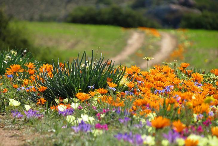 Namaqualand, Northern Cape - Deal Direct, Pay Less