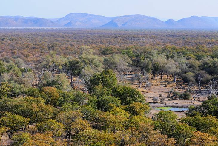 Kunene, Kunene Region - Deal Direct, Pay Less