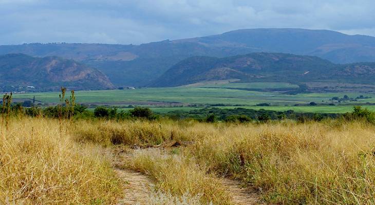 Pongola Game Reserve Accommodation | Information