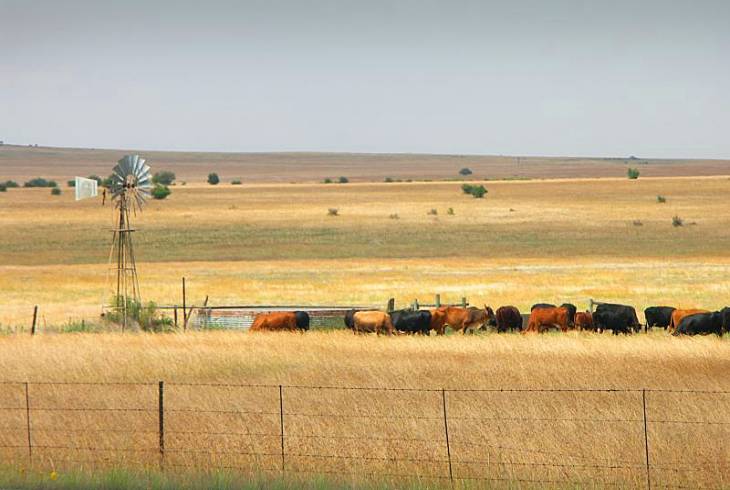 Memel Akkommodasie, Northern & Eastern Free State