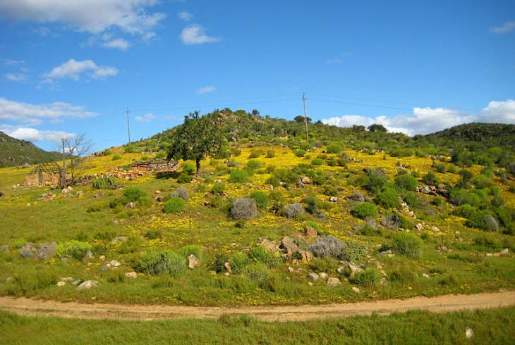 Citrusdal Akkommodasie, Cape West Coast