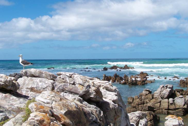 Agulhas Accommodation, Overberg / Whale Coast