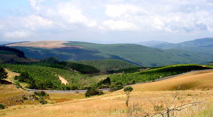 Long Tom Pass Accommodation, Mpumalanga