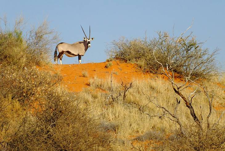 Mariental Accommodation, Hardap
